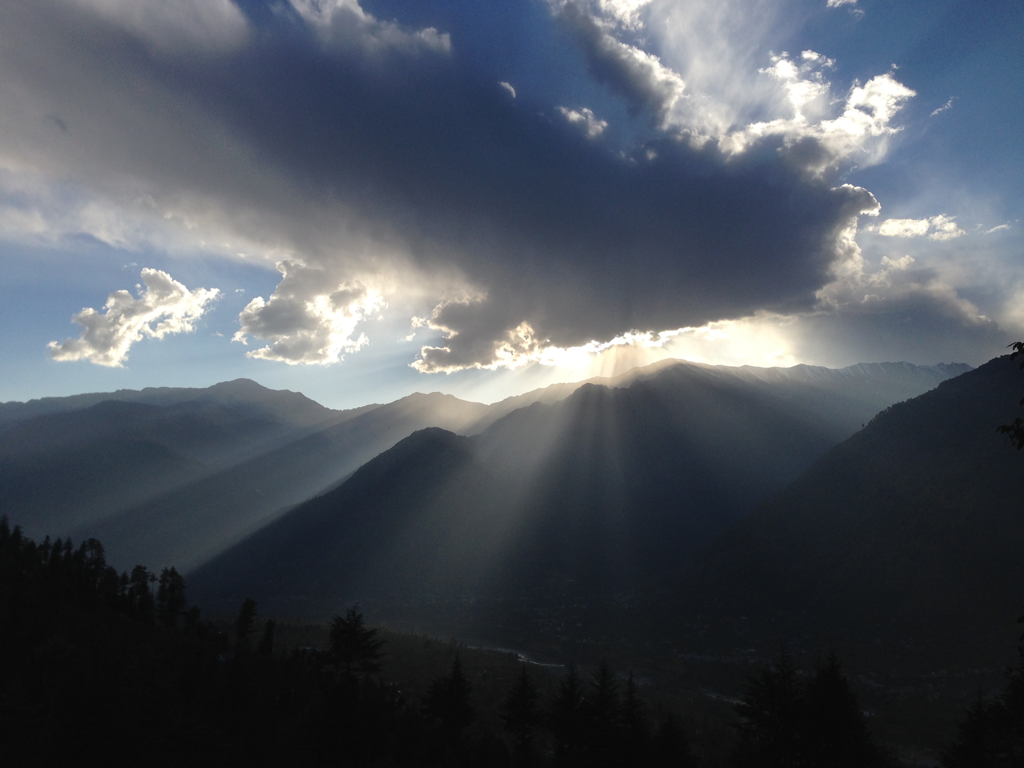 The Carefree Self – Pushpender Rathee