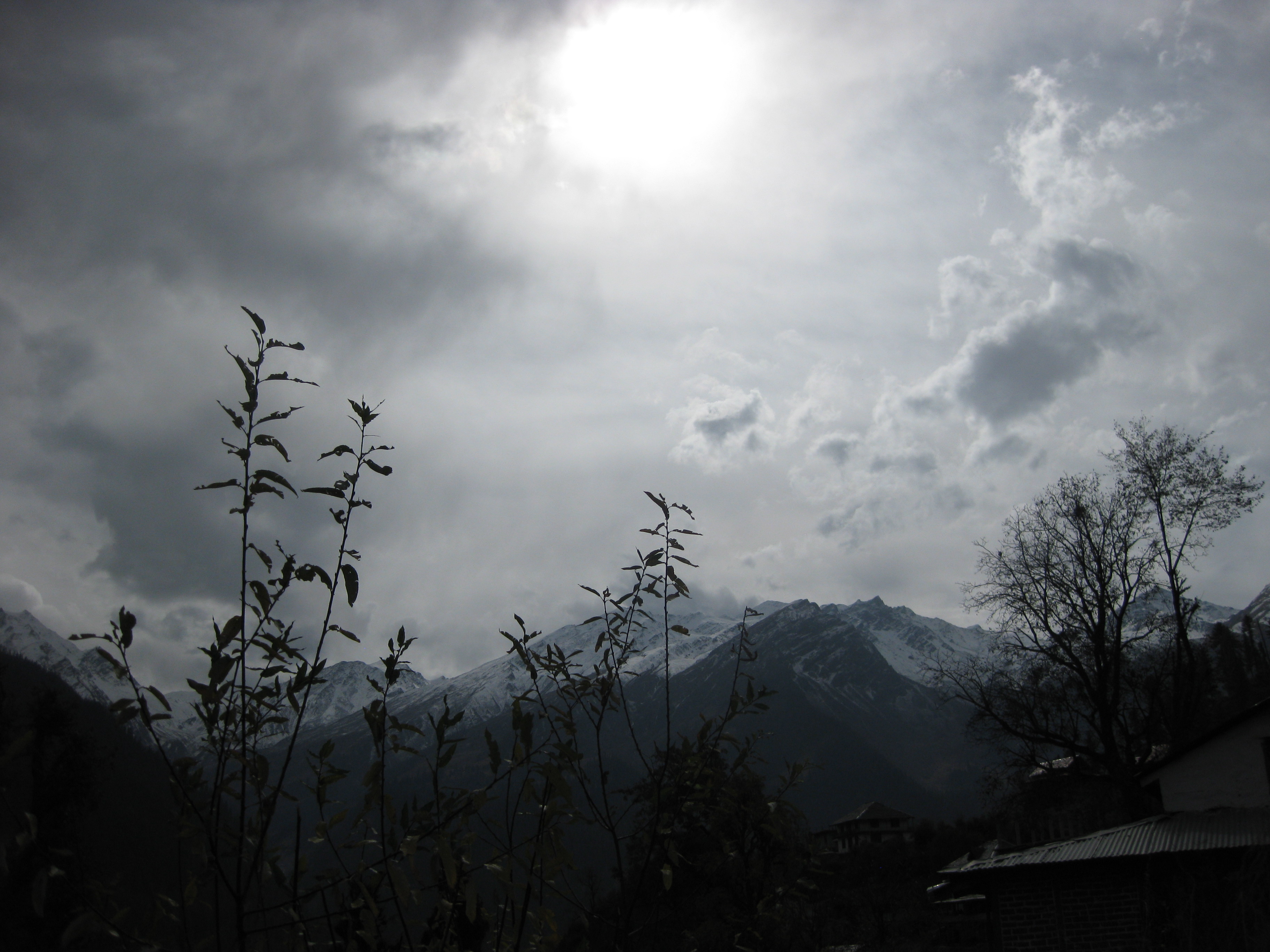 Longing – Pushpender Rathee