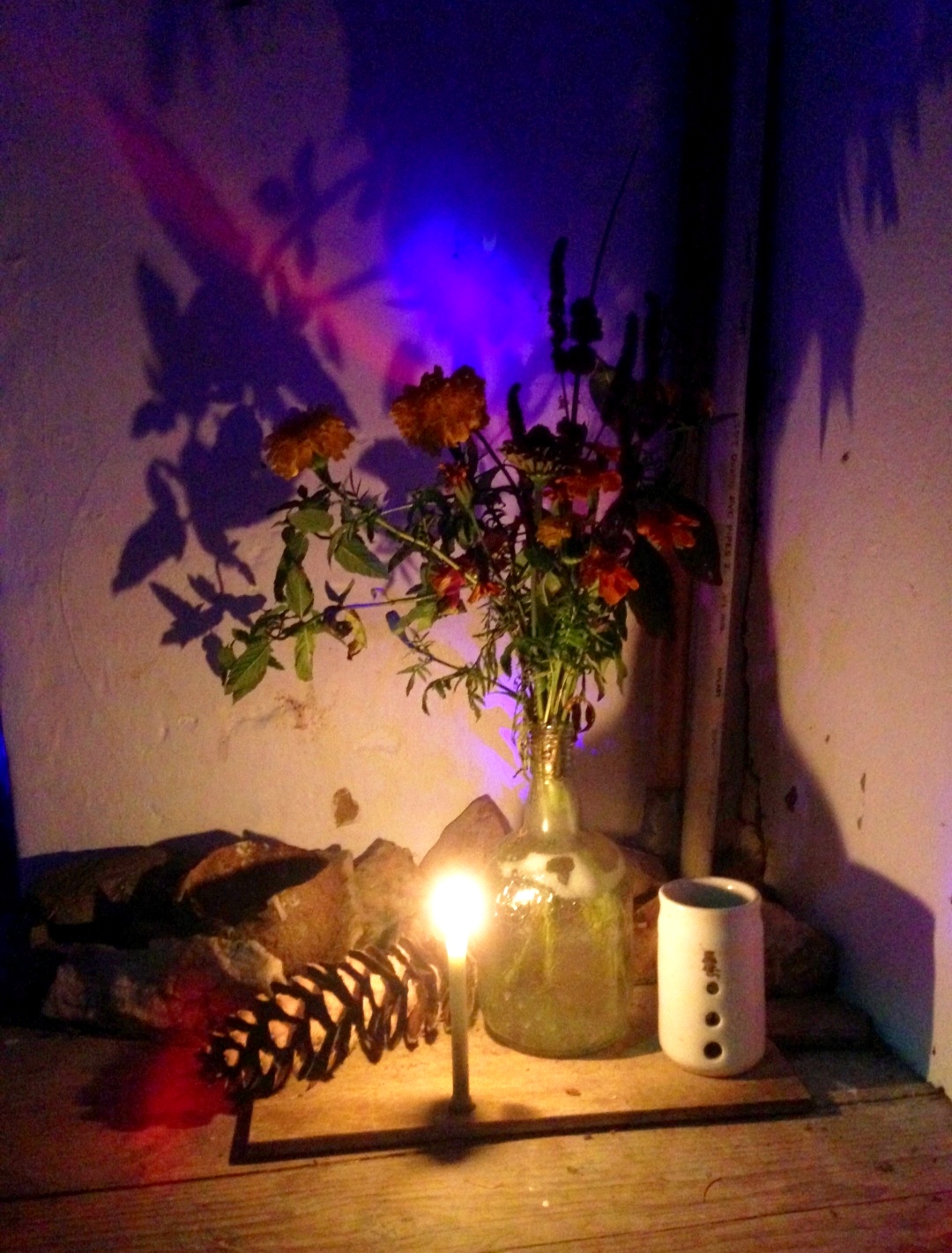 Light My Heart – Pushpender Rathee